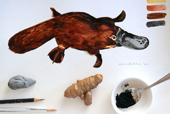 Libraries At Dusk | Greater Dandenong Libraries