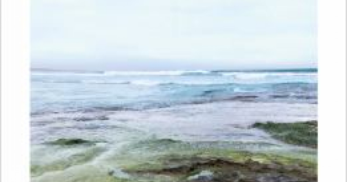 Miles Franklin Award Winner 2021 - The Labyrinth by Amanda Lohrey ...