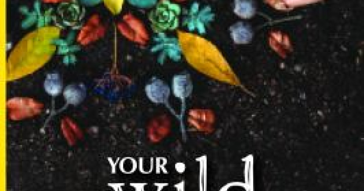 Your Wild Imagination | Greater Dandenong Libraries