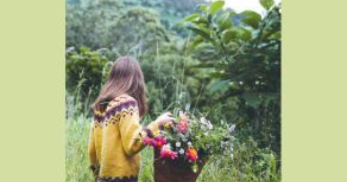 Wild Life: 50 Projects to Rewild Your Life from the Home to Outdoors ...