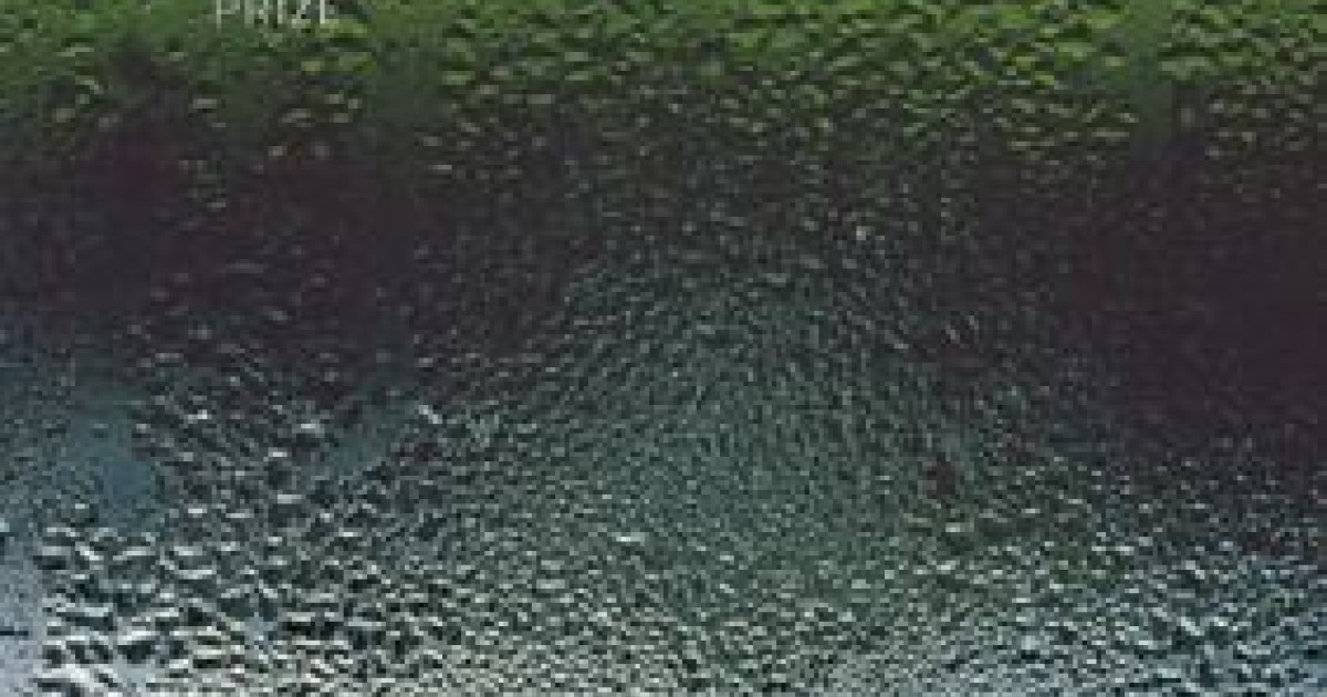 Winners of the 2023 Prime Minister's Literary Awards | Greater ...